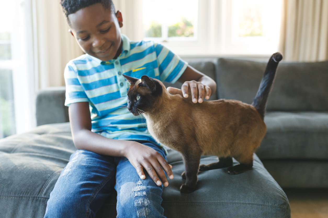 Positive Effects Household Pets Can Have on a Child with Autism ...