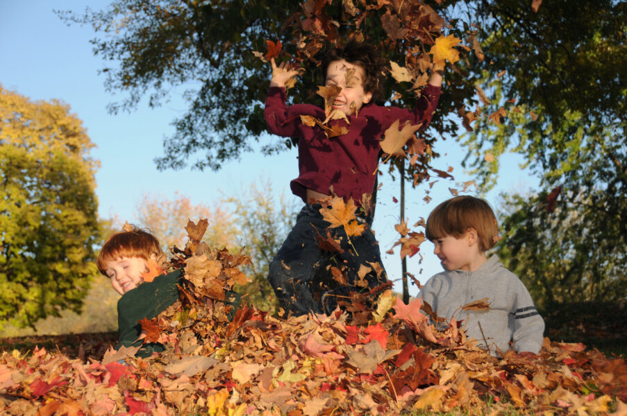 Fun Fall Activities for Children with Autism - Behavioral Innovations